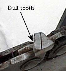 Chainsaw maintenance and sharpening